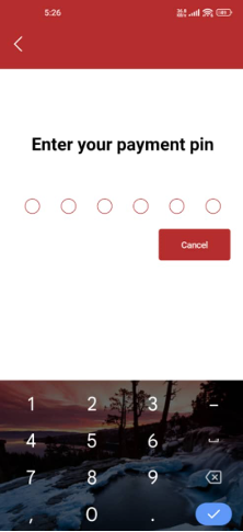 Selangor Intelligent Parking – NineApp